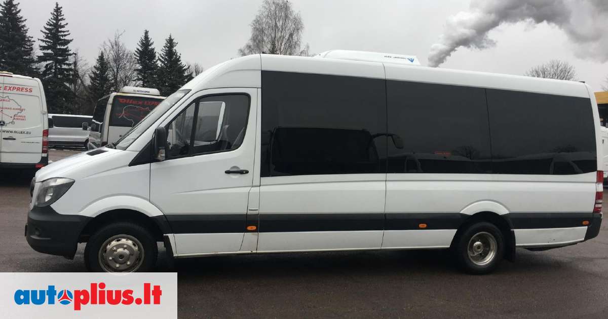 Mercedes-Benz Sprinter 516 Altas, keleivinis mikroautobusas 2014-03 m ...